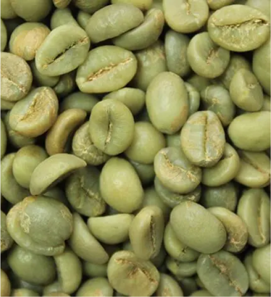 Experience Truvy Weight-Loss Product – TryTruvy